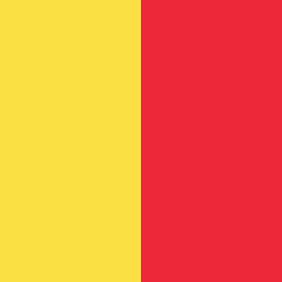 Belgische Vlag 100X150 | bol