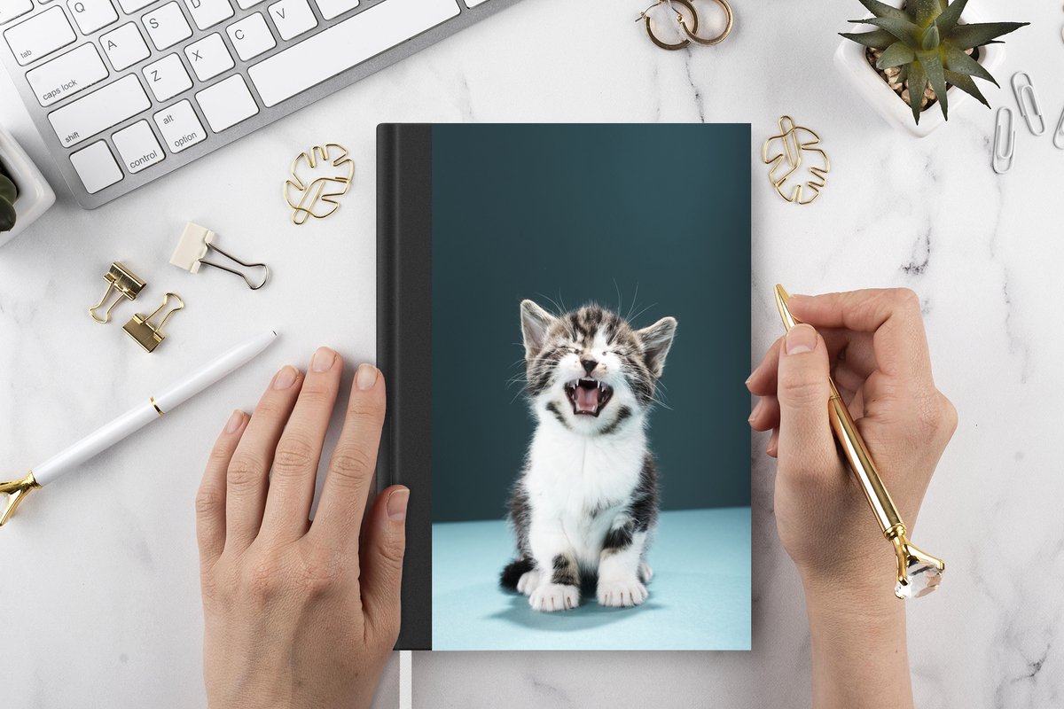 Carnet - Carnet d'écriture - Chat - Chaton - Miaou - Carnet - Format A5 ...