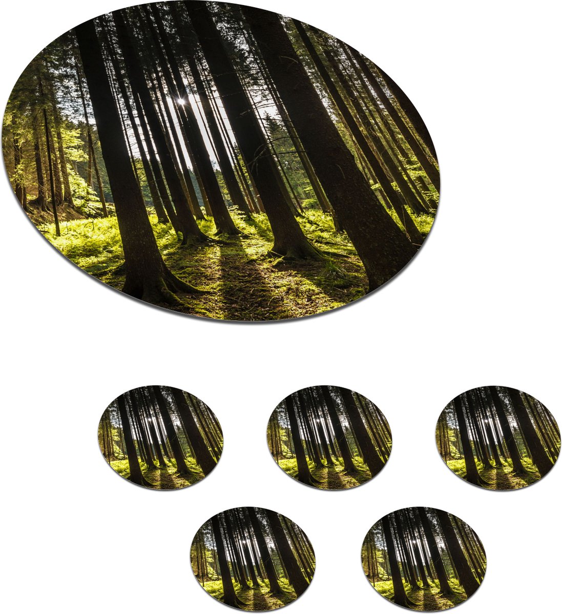 Onderzetters voor glazen - Rond - Boom - Natuur - Zon - Bos - 10x10 cm ...