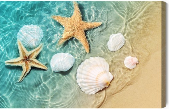 Schilderijkoning - Canvas Schilderij Sterren En Schelpen In De Zee - 30 x 20 cm | bol