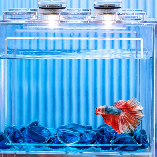 Druppelbestendig Draagbaar Klein Betta-aquarium Prachtig Transparant ...