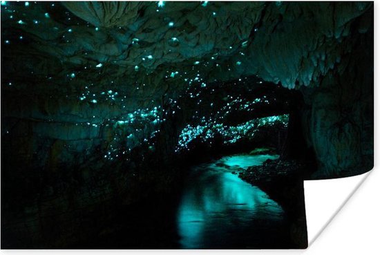 Les grottes de Waitomo en Nouvelle-Zélande Poster 30x20 cm - petit ...