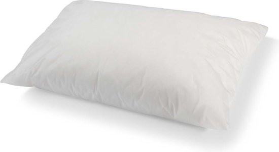 BINNENKUSSEN - Kussenvulling 30x50 cm - Polyester vulling - 240 gram | bol