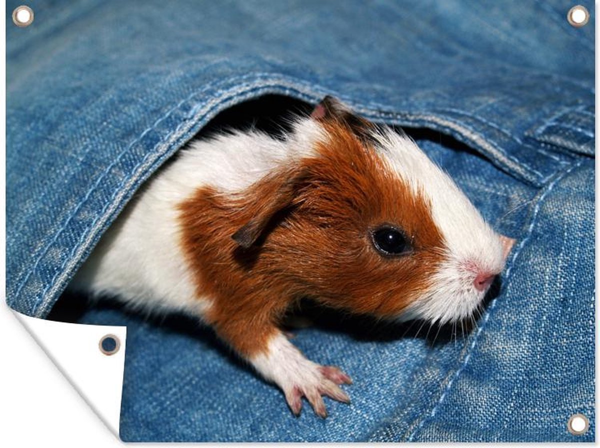 Affiche jardin - Toile jardin - Posters de jardin extérieur - Bébé ...