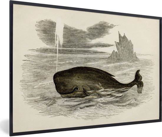 Fotolijst incl. Poster - Een vintage tekening van een walvis - 90x60 cm ...