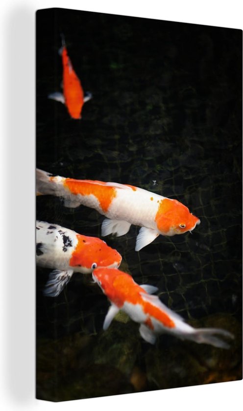 Canvas Schilderij Koi karpers in een ondiepe zwarte vijver - 60x90 cm - Wanddecoratie | bol
