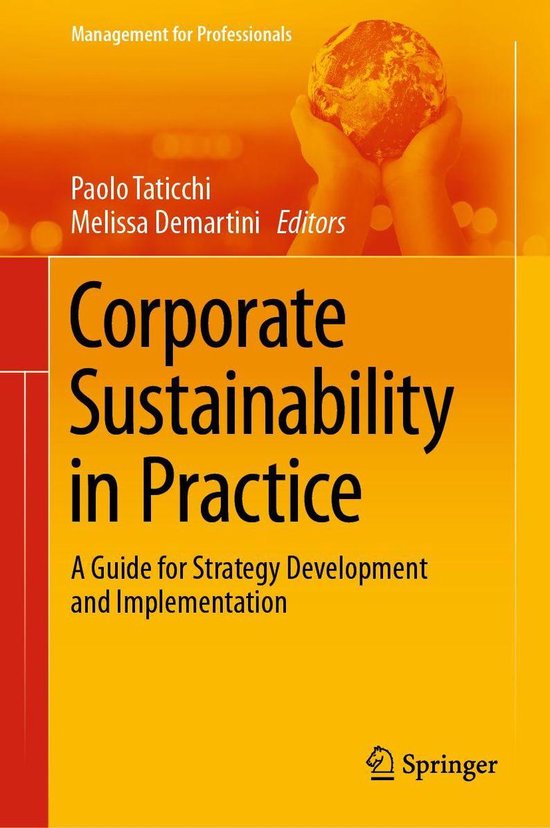 Management for Professionals - Corporate Sustainability in Practice ...
