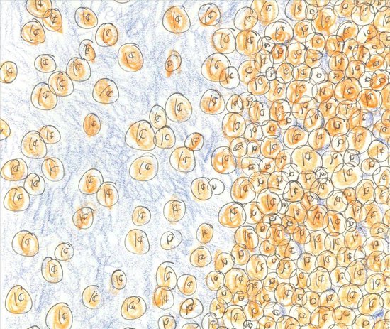 David Greenberger & Dozens - Near The Edge Of The Penny Jar Spil (CD ...