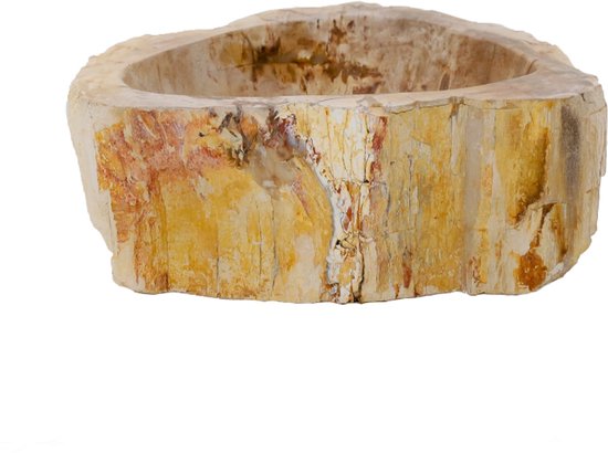 Teakea - Fossiel Waskom 37x31x14 cm - Versteend Hout - Unieke ...