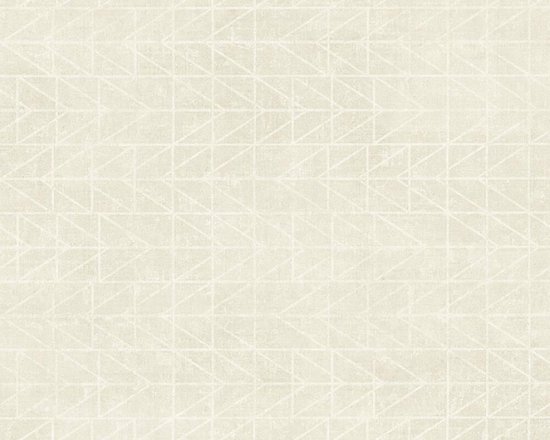 Beige Modern Grafisch Vliesbehang - AS Creation Ethnic Origin | bol.com