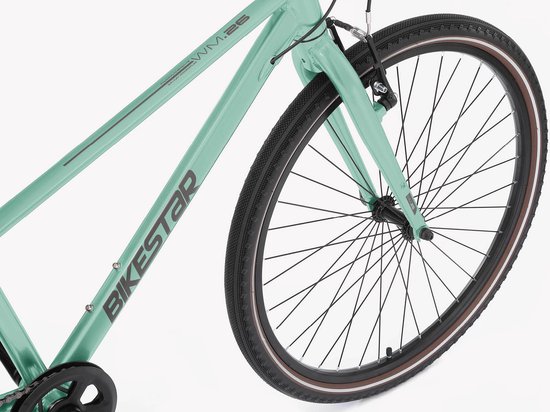 Bikestar lichtgewicht fiets 26 inch 9 speed mintgroen | bol