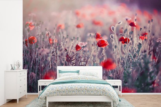 Behang - Fotobehang Rode klaprozen in veld - Breedte 390 cm x hoogte ...