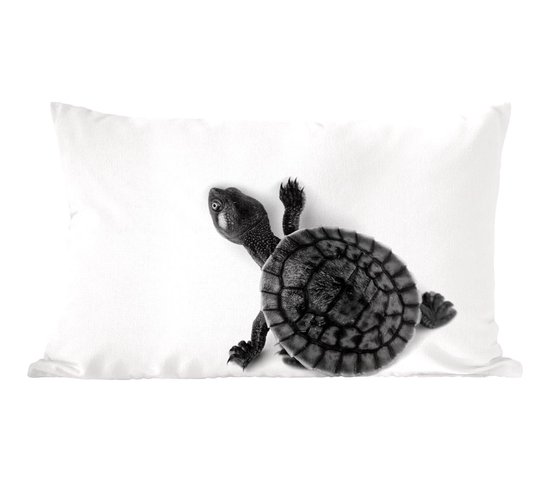Sierkussen - Baby Schildpad Loopt Over Witte Achtergrond - Blauw - 30 ...