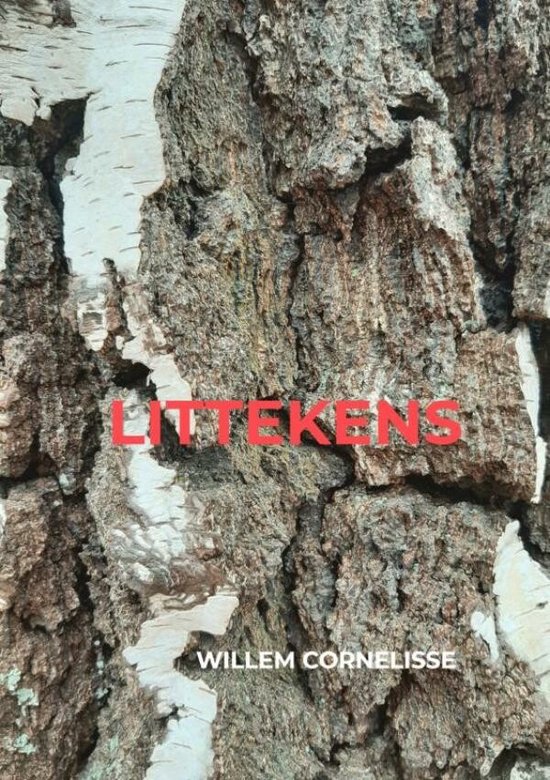 Littekens, Willem Cornelisse | 9789403639444 | Boeken | bol
