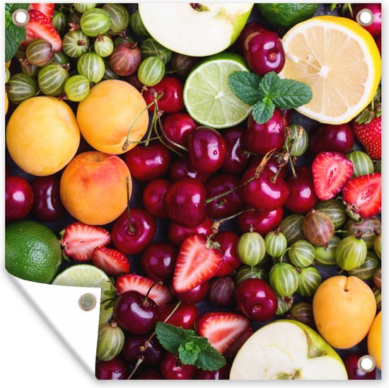 Posters de jardin Fruits - Couleurs - Été - 50x50 cm - Toile de jardin ...