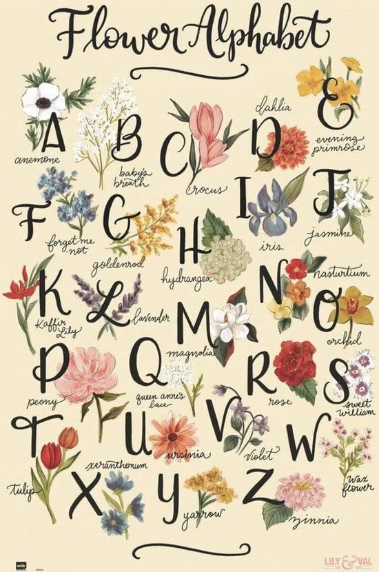 Grupo Erik Lily and Val Flowers Alphabet Poster - 61x91,5cm | bol.com