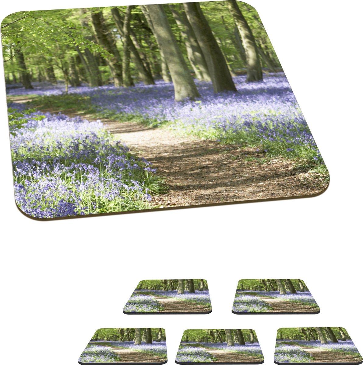 Onderzetters voor glazen - Bos - Pad - Wilde Bloemen - 10x10 cm ...