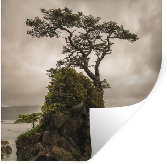 Muurstickers - Sticker Folie - Boom en rots op de Canadese Charlotte ...