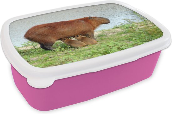 Lunch box Rose - Lunch box - Boîte à pain - Un Capybara avec deux ...