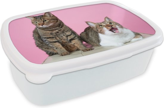 Broodtrommel Wit - Lunchbox Kat - Roze - Poef - Meisjes - Kinderen ...