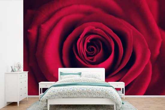 Behang - Fotobehang Rozen - Rood - Detail - Breedte 330 cm x hoogte 220 ...