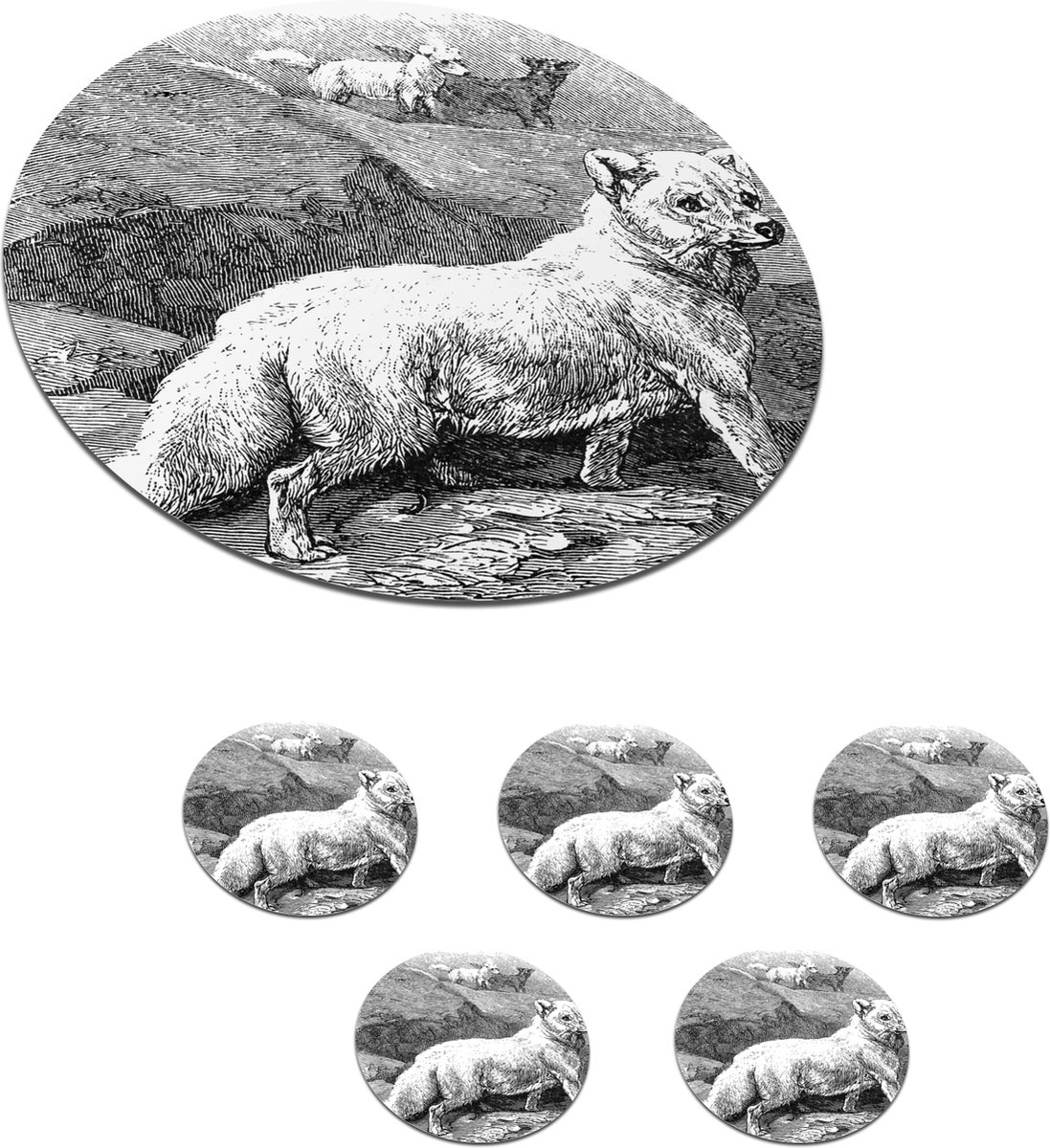 Onderzetters voor glazen - Rond - tekening van een poolvos in de natuur ...