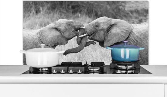 Spatscherm keuken 100x50 cm - Kookplaat achterwand Olifant - Knuffel ...