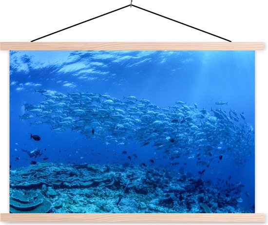 Posterhanger incl. Poster - Schoolplaat - Vissenschool in de Bandazee ...