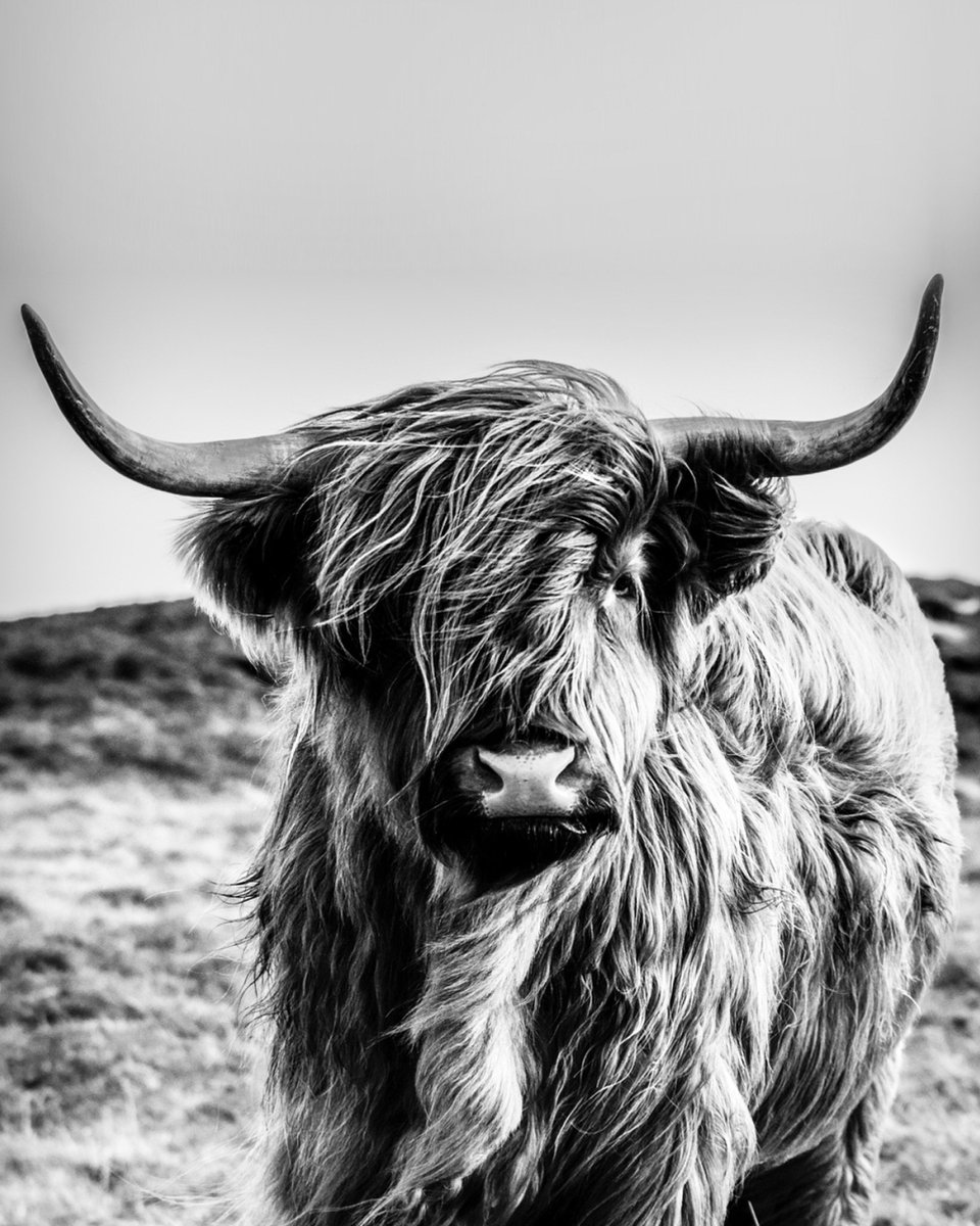 Diamond painting - Vierkante steentjes - Diamond painting volwassenen ...