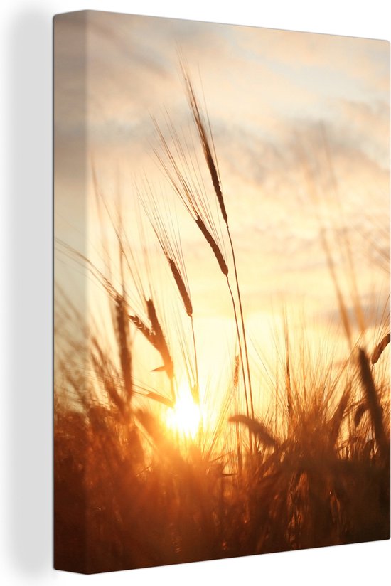 Canvas - Schilderij - Riet - Gras - Zon - Natuur - Schilderijen ...