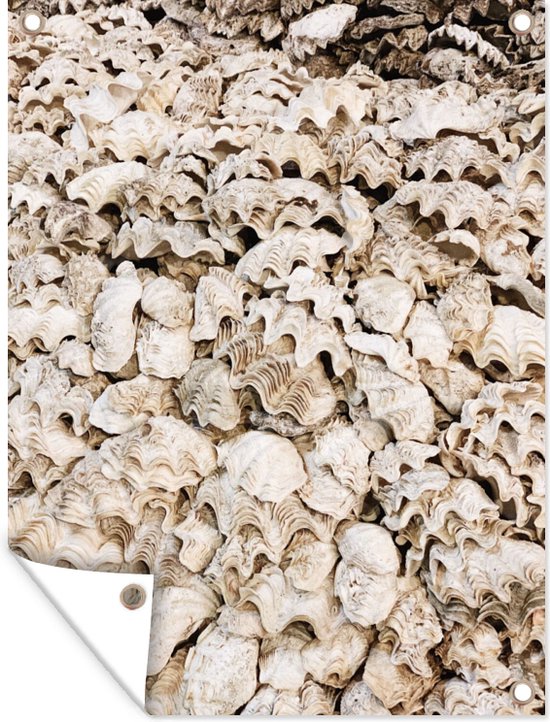 Tuinschilderij - Schelpen - Strand - Zomer - 90x120 cm - Tuinposter ...