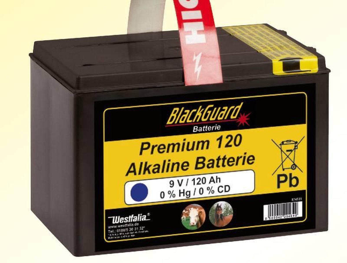 BlackGuard 9V Accu 120Ah, Kleine Behuizing | bol.com