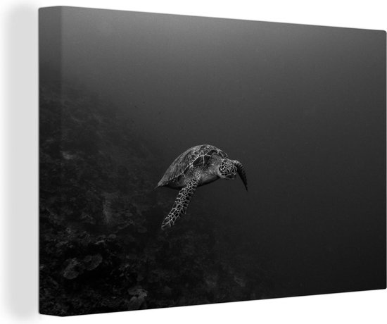 Canvas Schilderij Zwart-wit afbeelding van een schildpad - 90x60 cm - Wanddecoratie | bol
