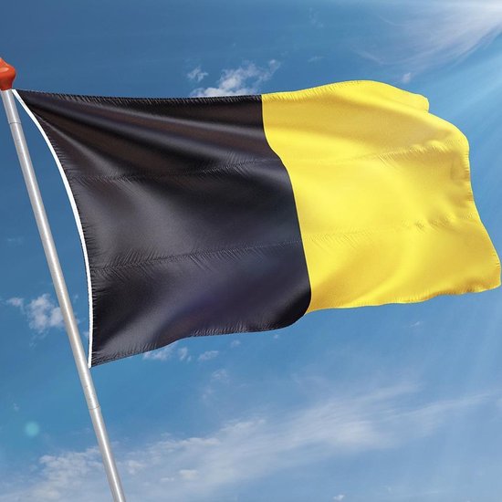 Vlag Sneek - 70 x 100 cm - Polyester | bol