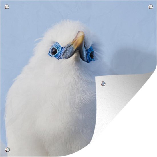 Tuindoek Een Balispreeuw in de lichtblauwe lucht - 100x100 cm | bol.com