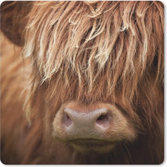 Muismat - Mousepad - Schotse Hooglander Koe - Koeienkop - Close Up ...