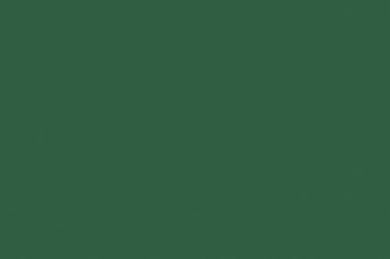 Tekenpapier Folia A4 dennen- - groen 130grs pak 100 vel | bol