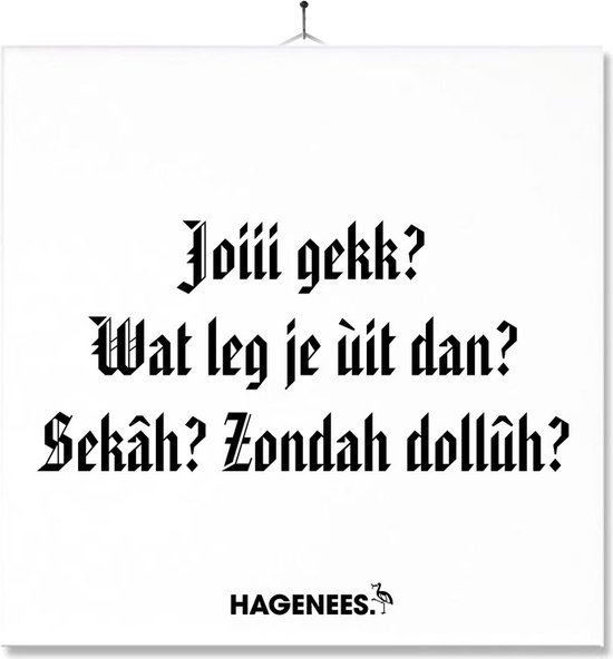 Tegel Met Opdruk | Haagse tekst | bol