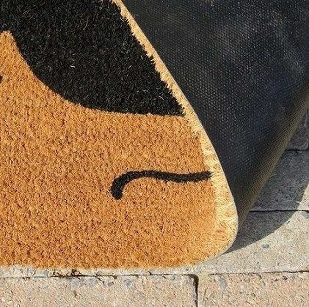 Ikado Kokosmat met spelend katje 45 x 75 cm | bol