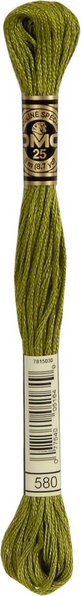 DMC Borduurgaren-580 Groen | bol.com