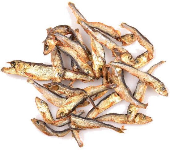 Spiering gedoogd, 100 gr. | bol.com