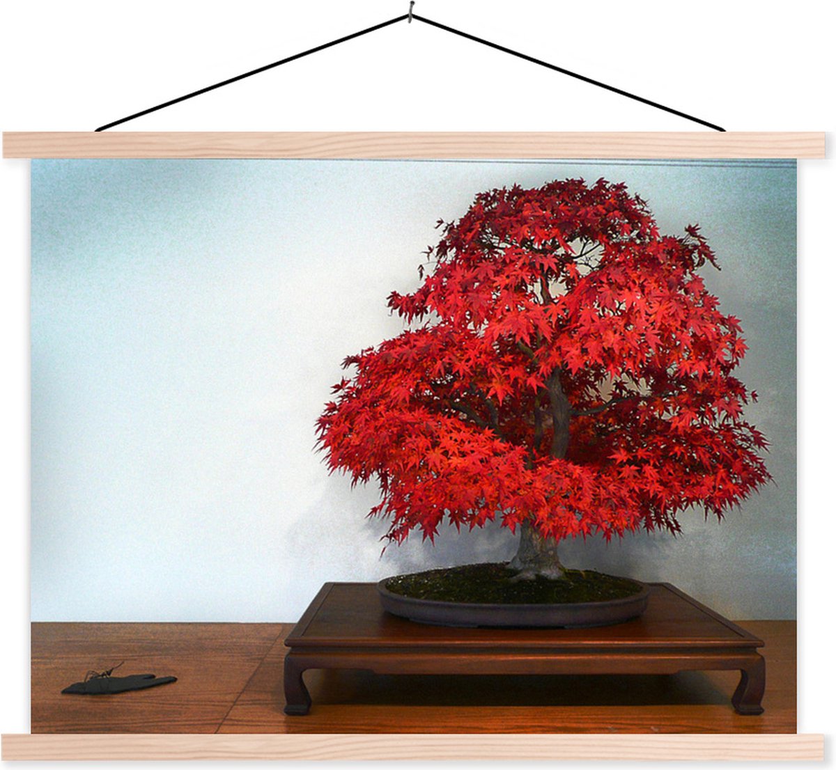 Bonsaï sur une petite table basse avec des feuilles rouges à cause de ...