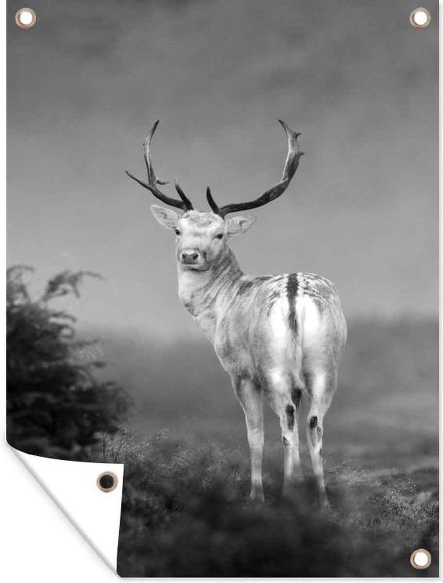 Muurdecoratie buiten Hert in het bos - zwart wit - 120x160 cm | bol.com