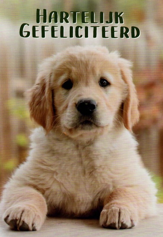 Hartelijk gefeliciteerd | bol