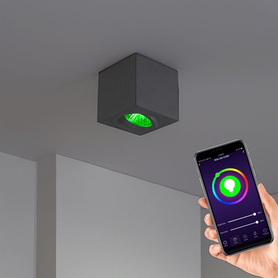 Smart WiFi | Opbouw spot armatuur Zwart | 80x84mm | kantelbaar ...