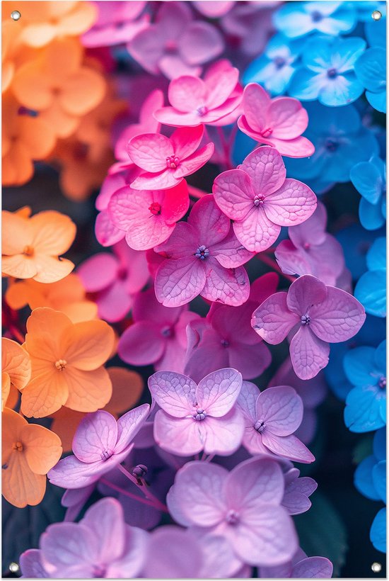 Bloemen poster - Planten poster - Tuinposters Bladeren - Buiten poster ...