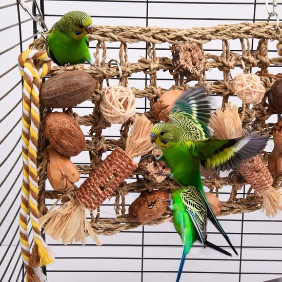 vogelspeelgoed papegaaien kooi speelgoed papegaai speelgoed natuurlijk hout Parkiet... | bol