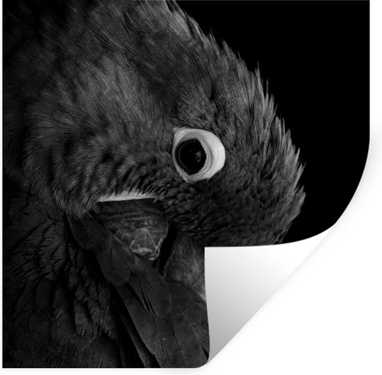 Muurstickers - Sticker Folie - Close-up van een kleurrijke papegaai - zwart wit -... | bol