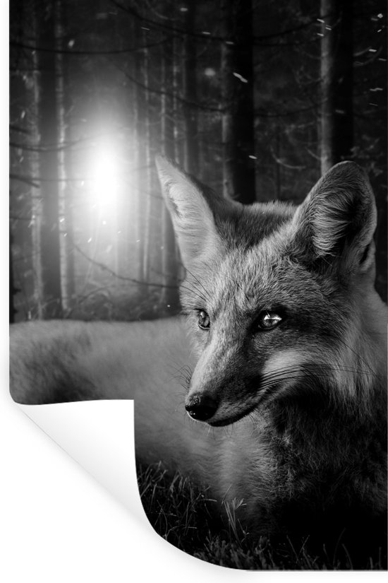 Muurstickers - Sticker Folie - Vos tussen de bomen in de jungle - zwart wit - 80x120... | bol