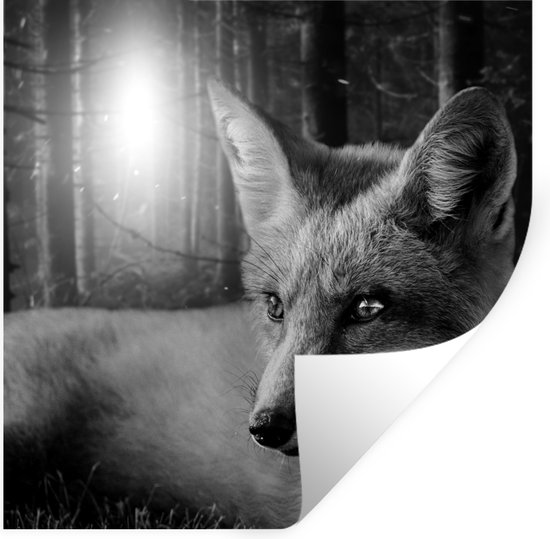 Muurstickers - Sticker Folie - Dieren - Vos - Bos - Zwart - Wit - 120x120 cm -... | bol